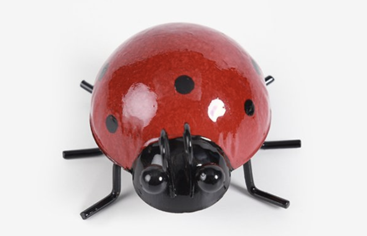 Speak Now | SharpLingo